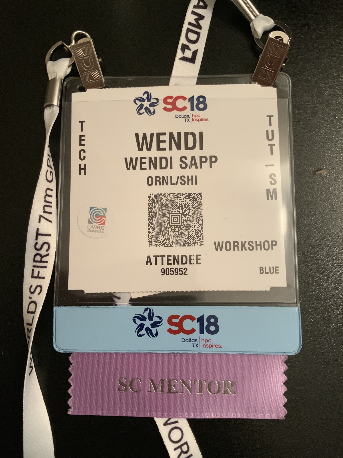 The Day of the Champion @SC18 – STEM-Trek