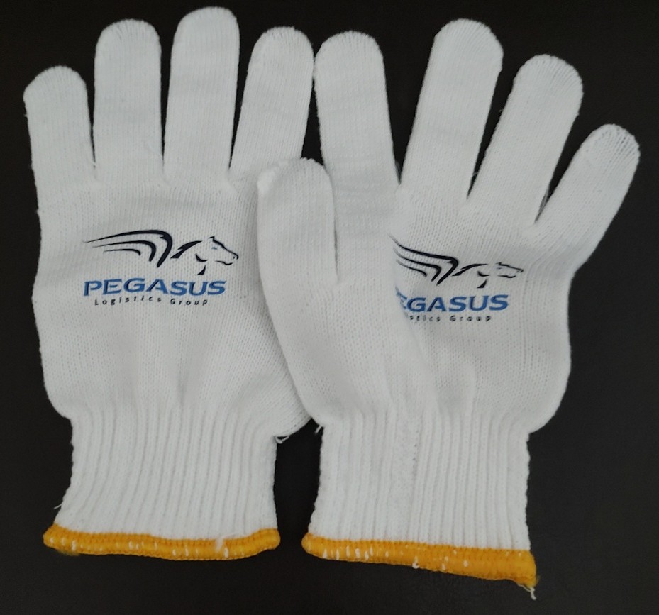 Picking up where I left off…back in St. Louis – STEM-Trek